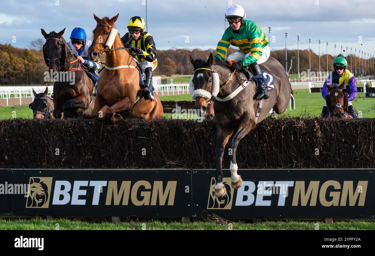 Newcastle, United Kingdom, Saturday 30th November 2024 ...