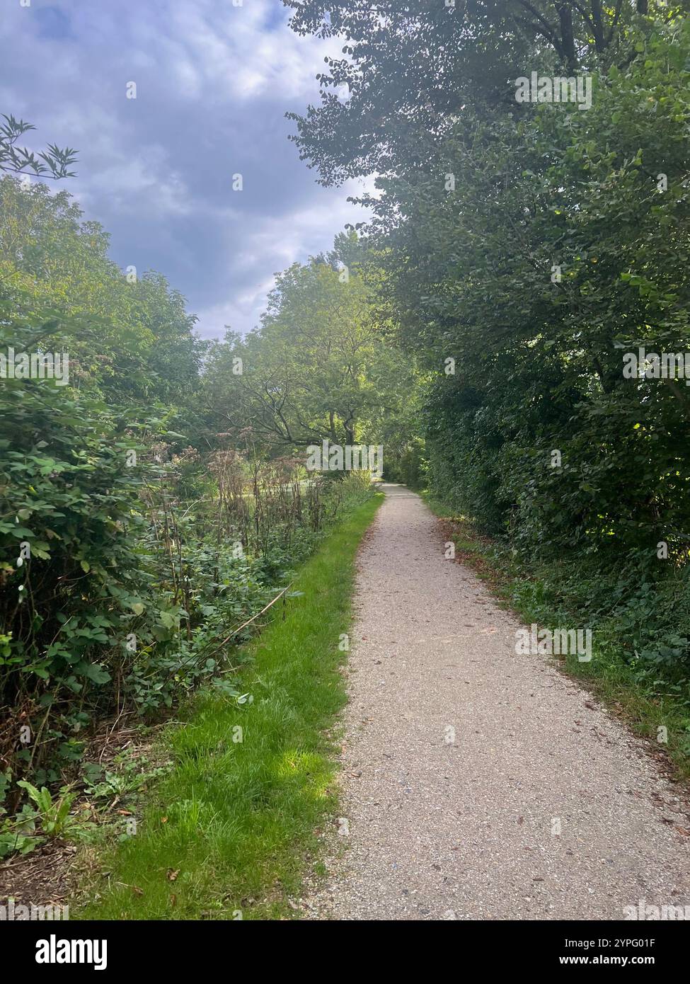 View of pathway through park with green trees alongside Stock Photo - Alamy