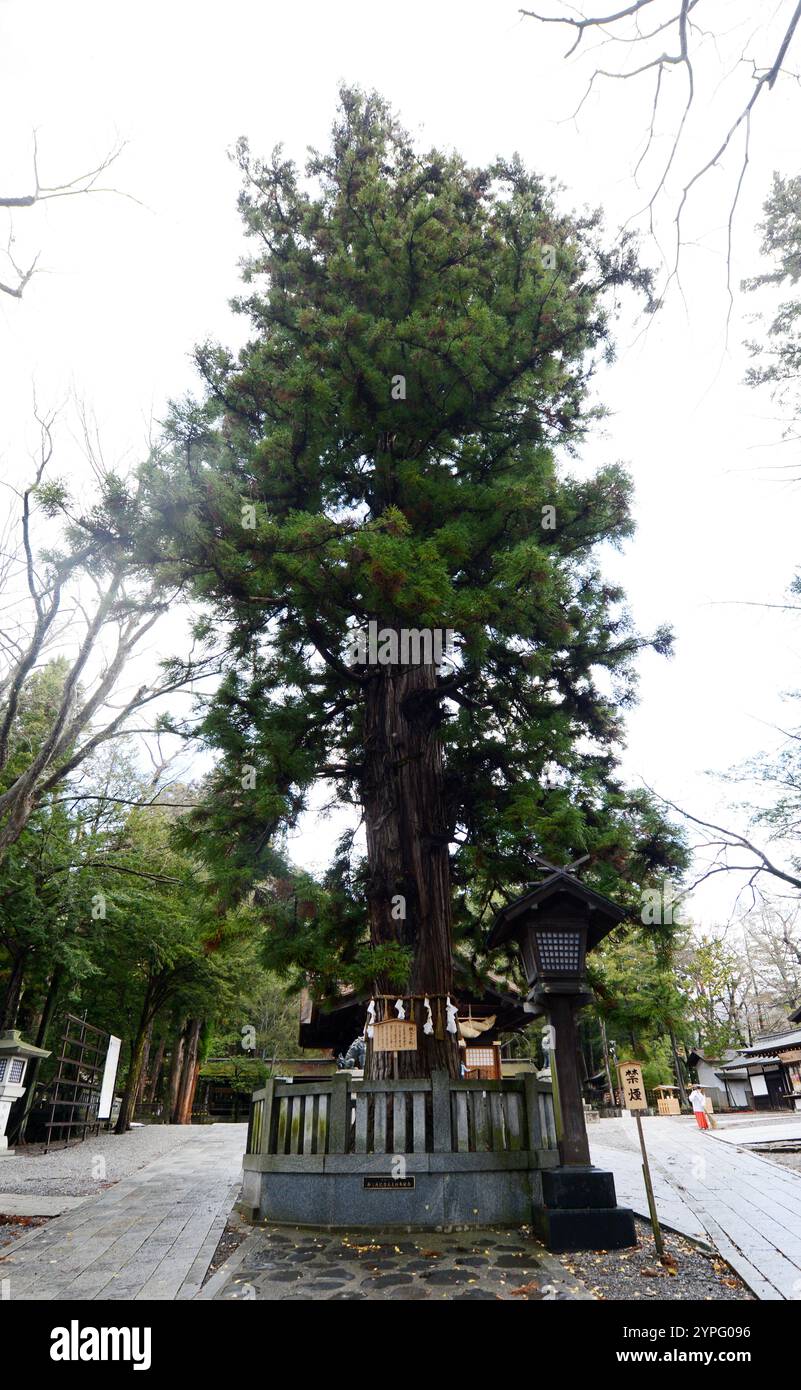 Suwa Taisha Shimosha Akimiya Shinto shrine near Suwa lake in Nagano ...