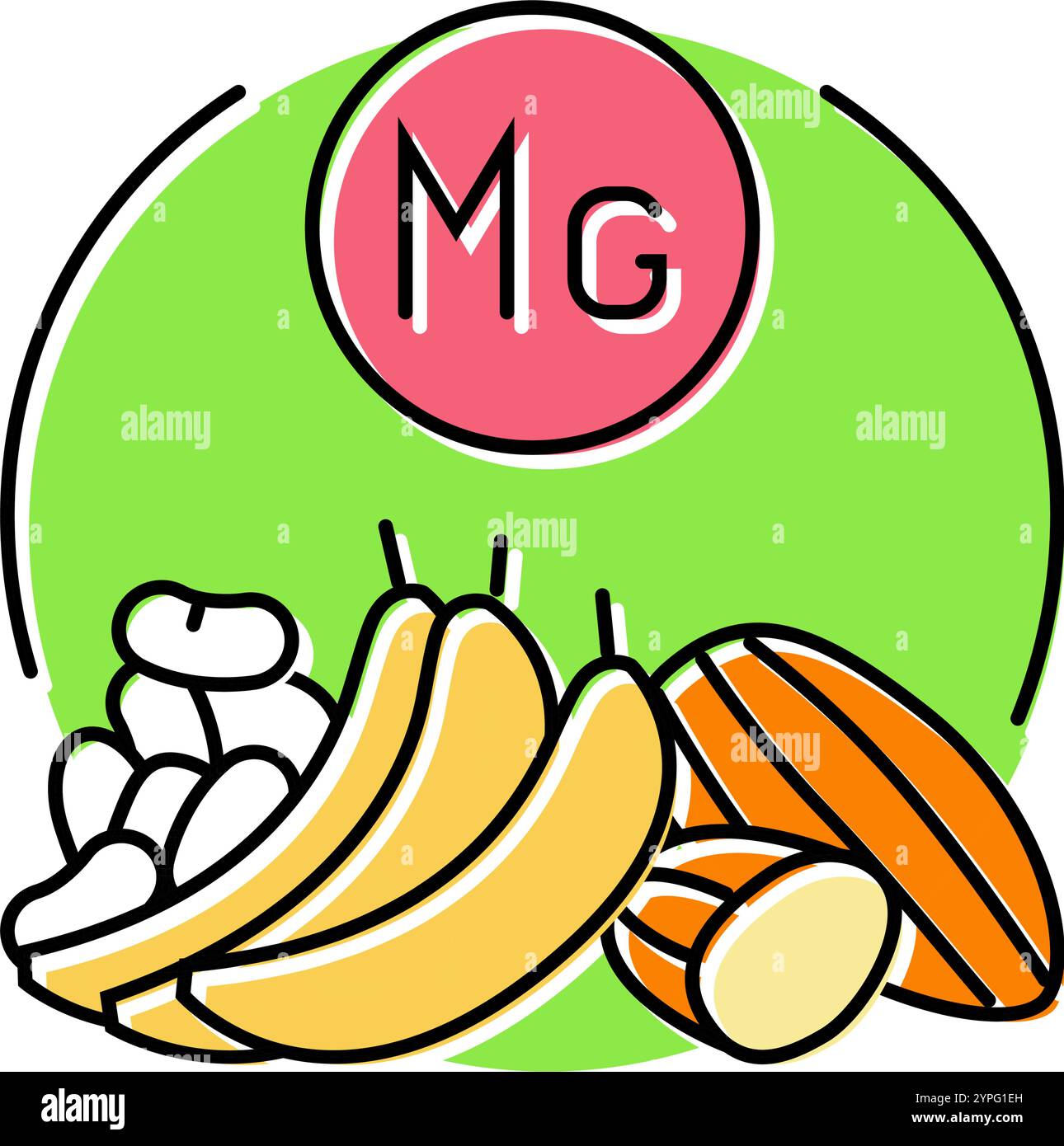 magnesium rich food osteoporosis color icon vector illustration Stock ...