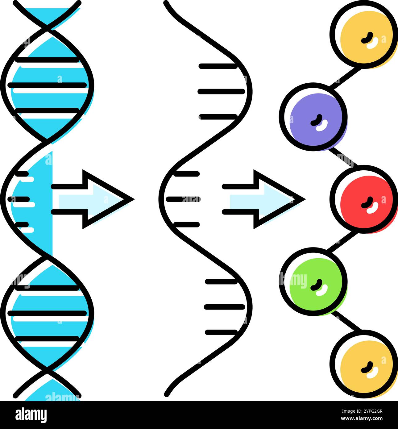 gene expression cryptogenetics color icon vector illustration Stock ...
