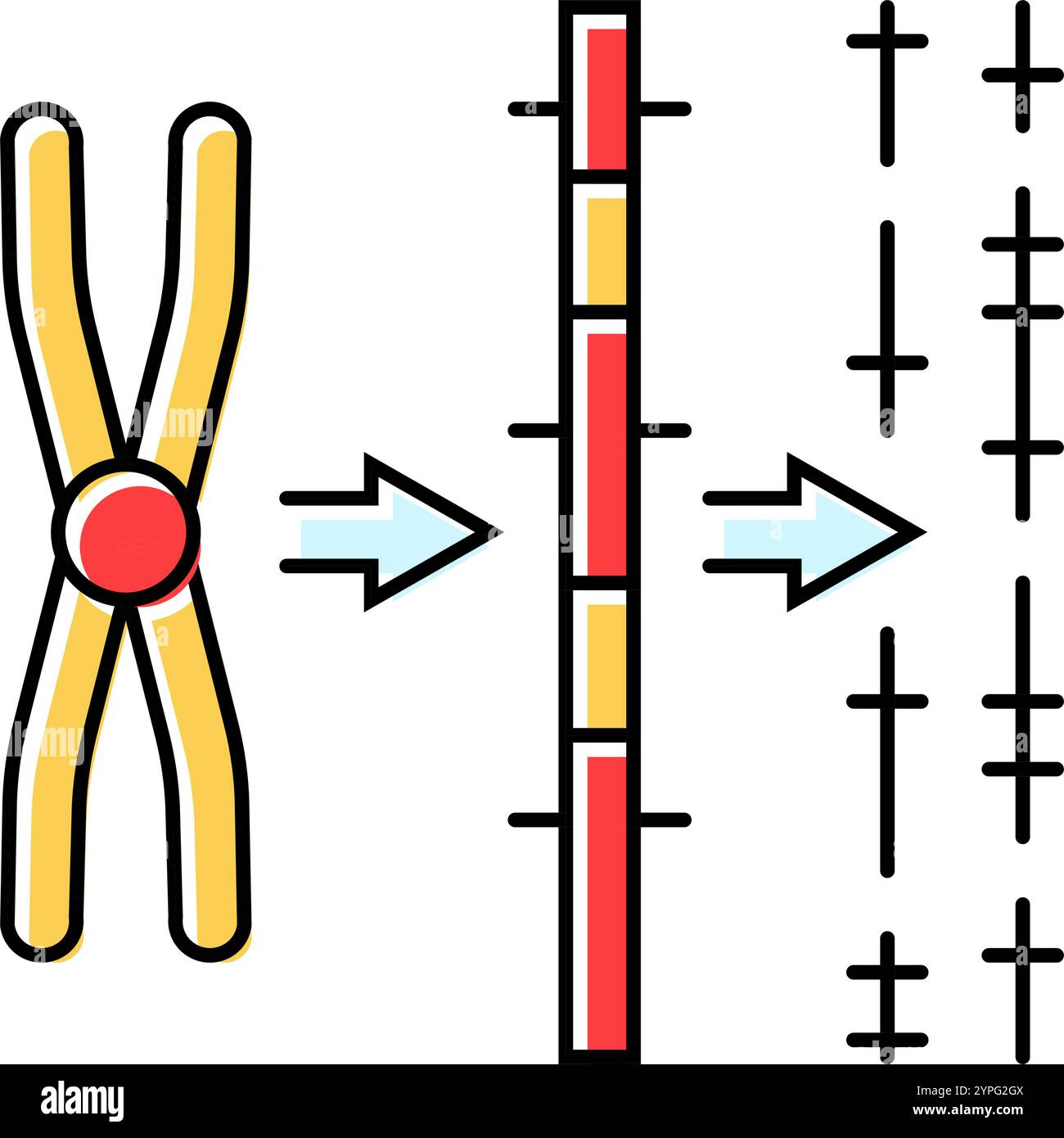 gene mapping cryptogenetics color icon vector illustration Stock Vector ...
