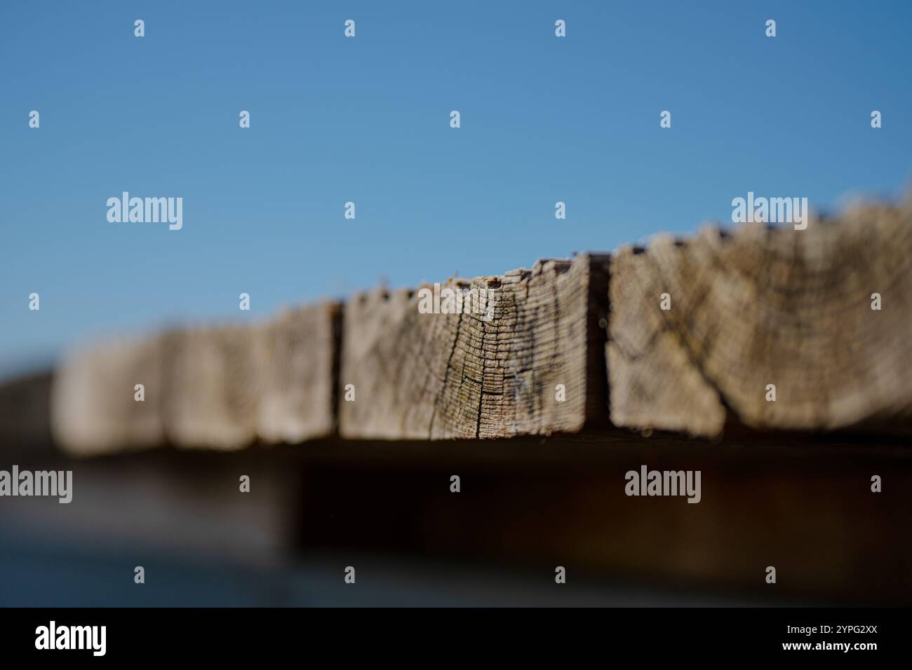 Detail of wooden plank of a pier at summer Stock Photo - Alamy