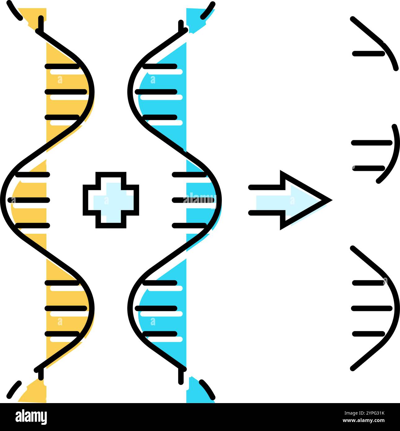 genetic diversity cryptogenetics color icon vector illustration Stock ...