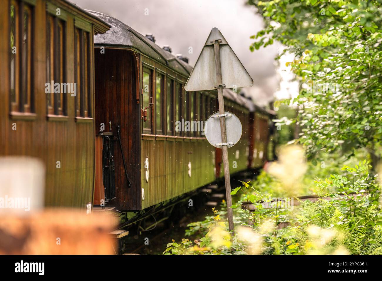 Vintage museum steam train rolling through green forest Stock Photo - Alamy
