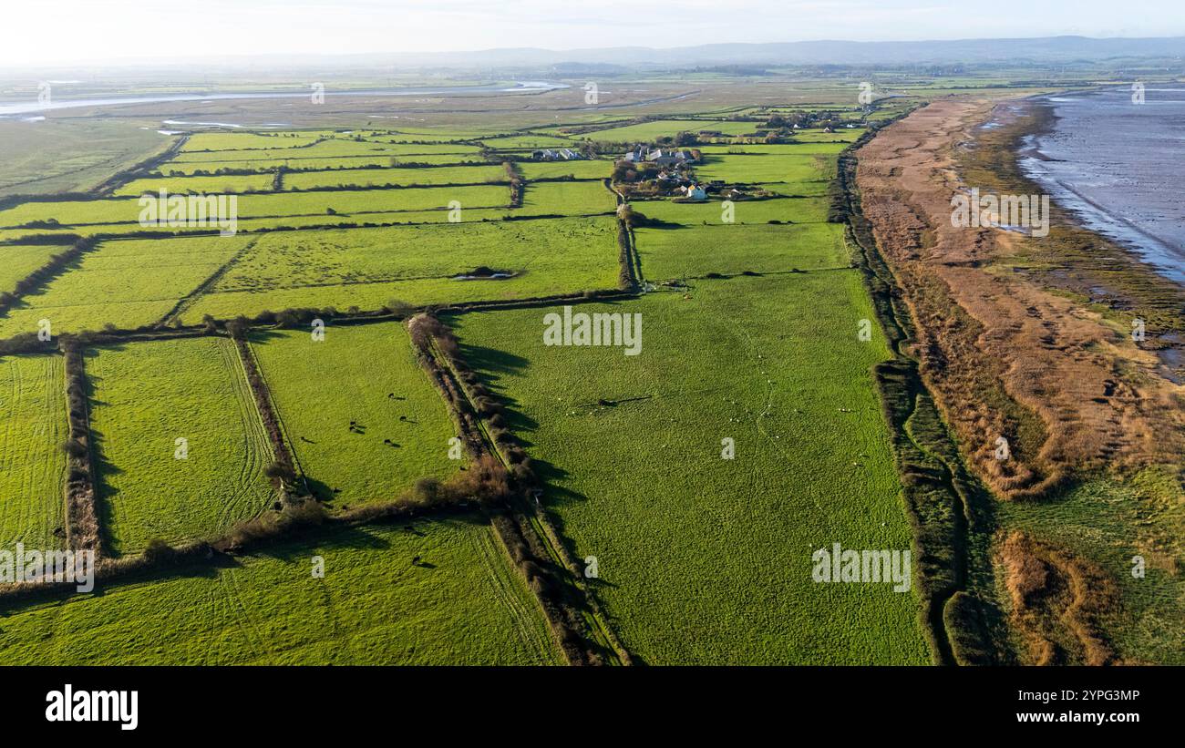 Somerset wetlands steart hi-res stock photography and images - Alamy