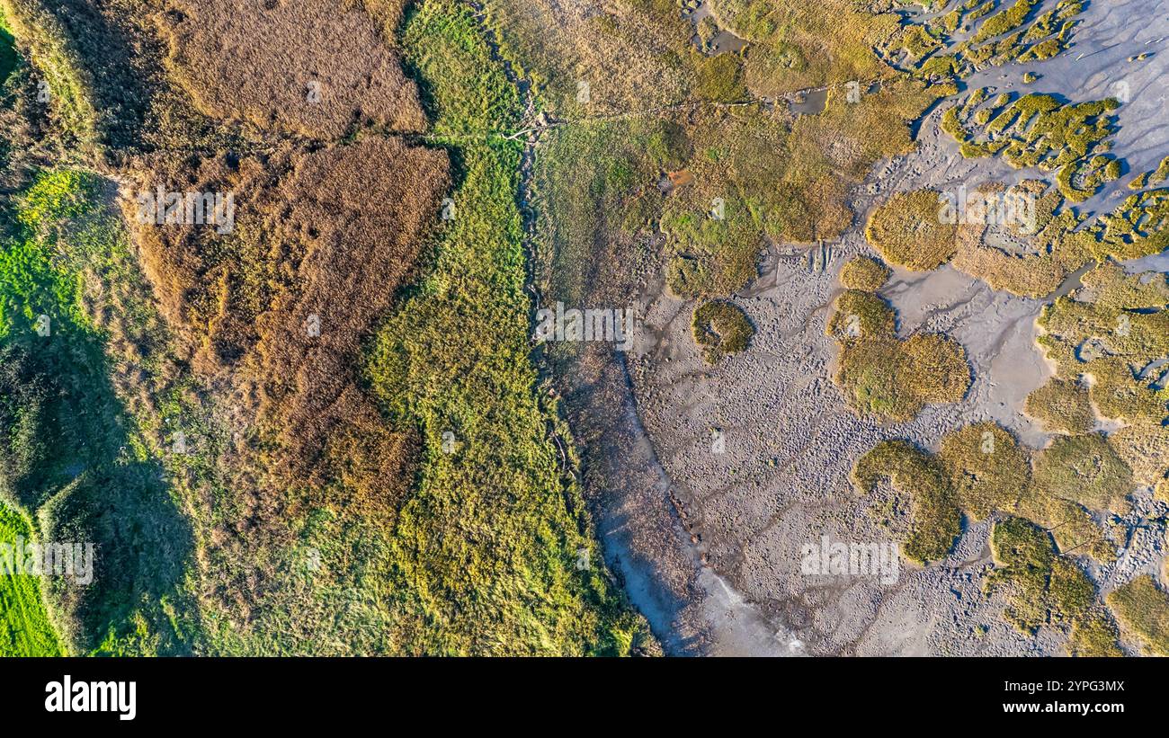 Bridgewater Bay saltmarsh and beach, Steart, Somerset. UK Stock Photo ...