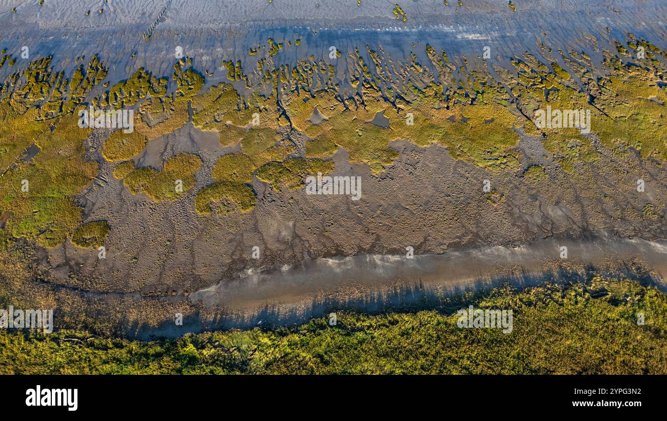 Somerset wetlands steart hi-res stock photography and images - Alamy