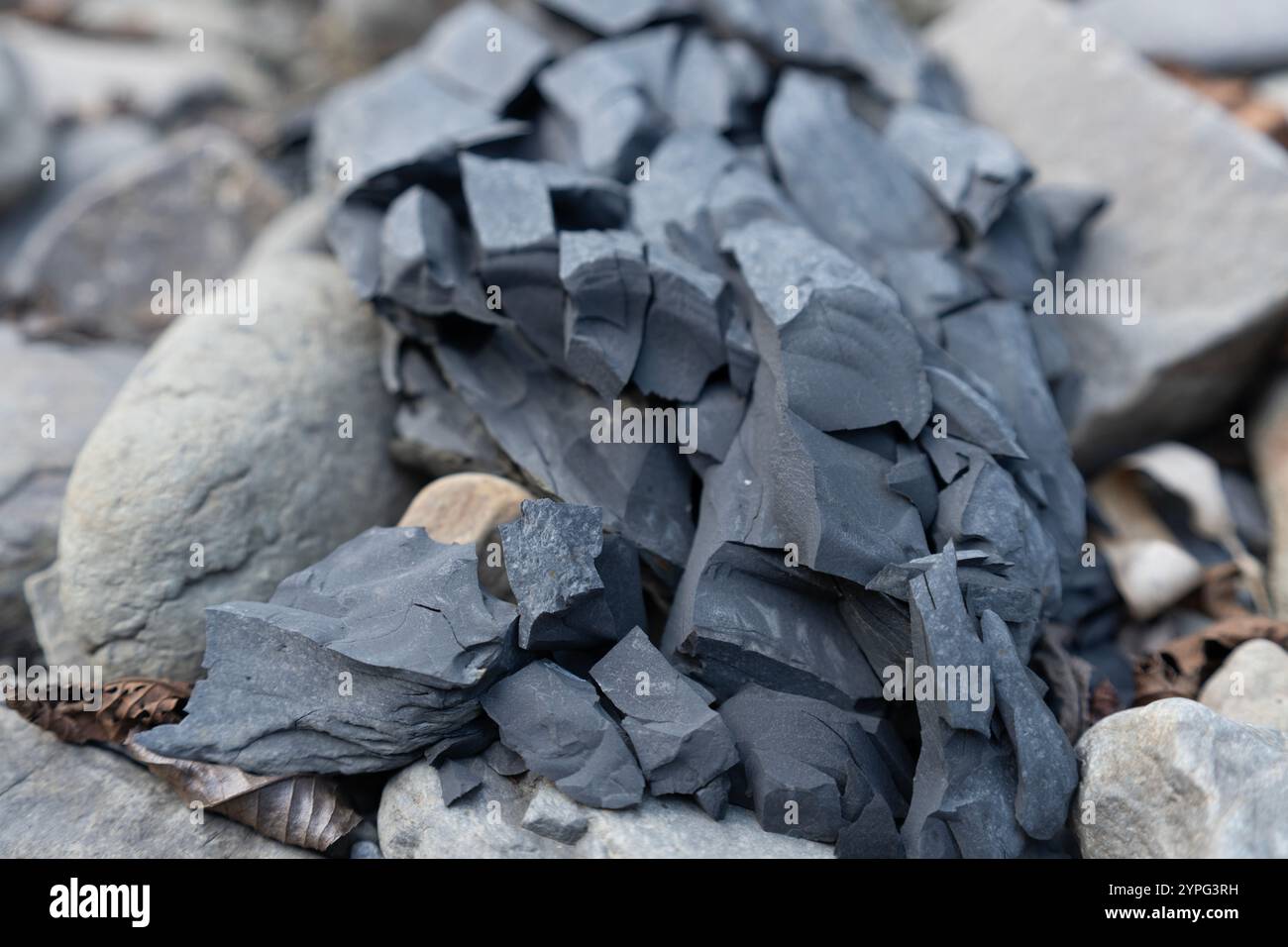 Drying riverbed hi-res stock photography and images - Alamy