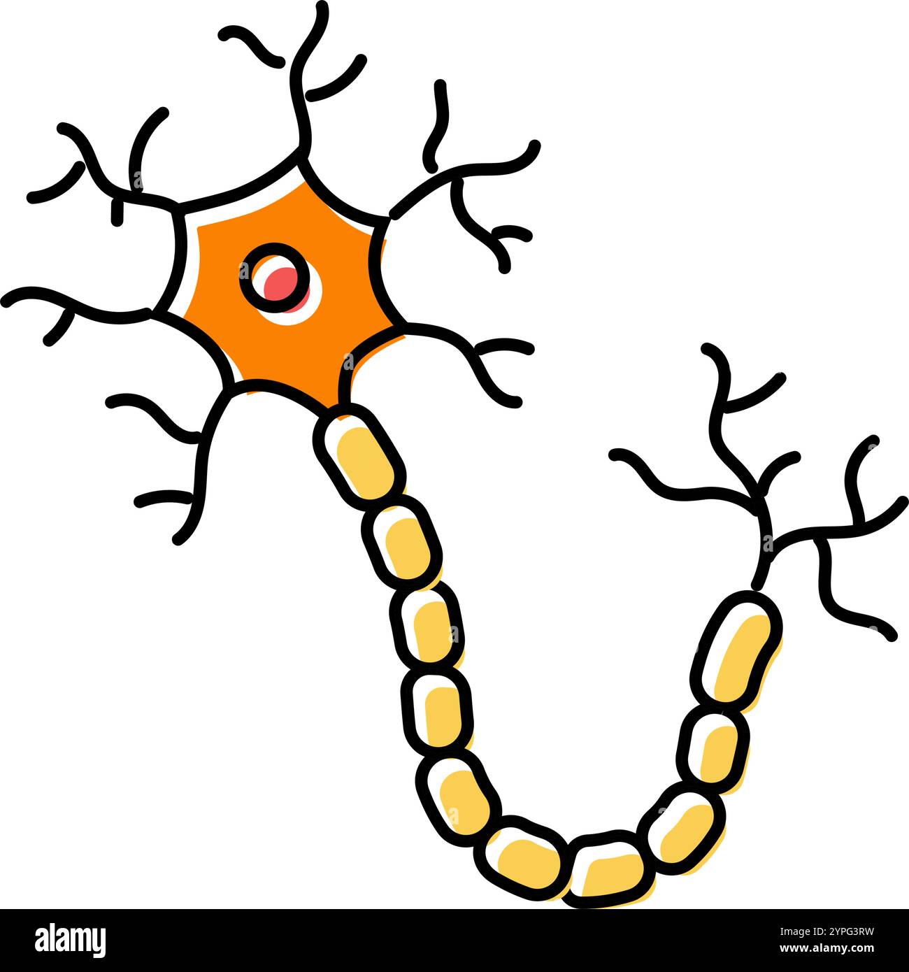 neuron structure neuroscience neurology color icon vector illustration ...