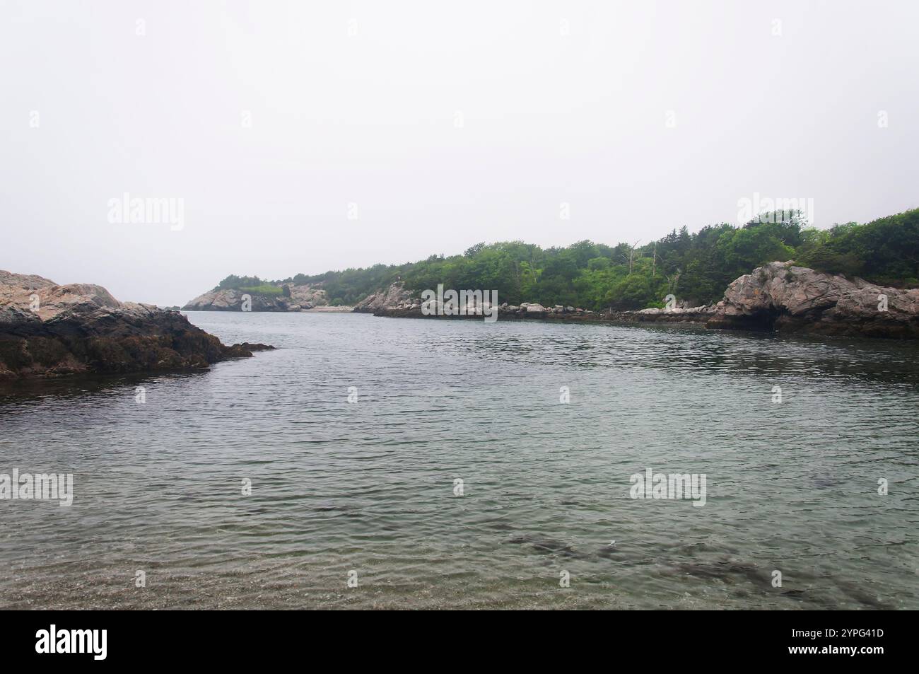 the foggy coast at Fort Wetherill State Park in Jamestown Rhode Island ...