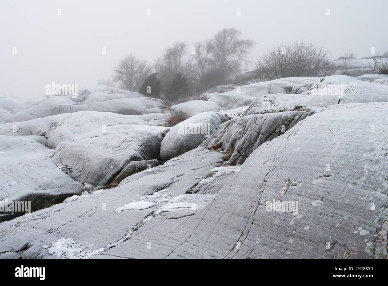 Coated with frost hi-res stock photography and images - Alamy