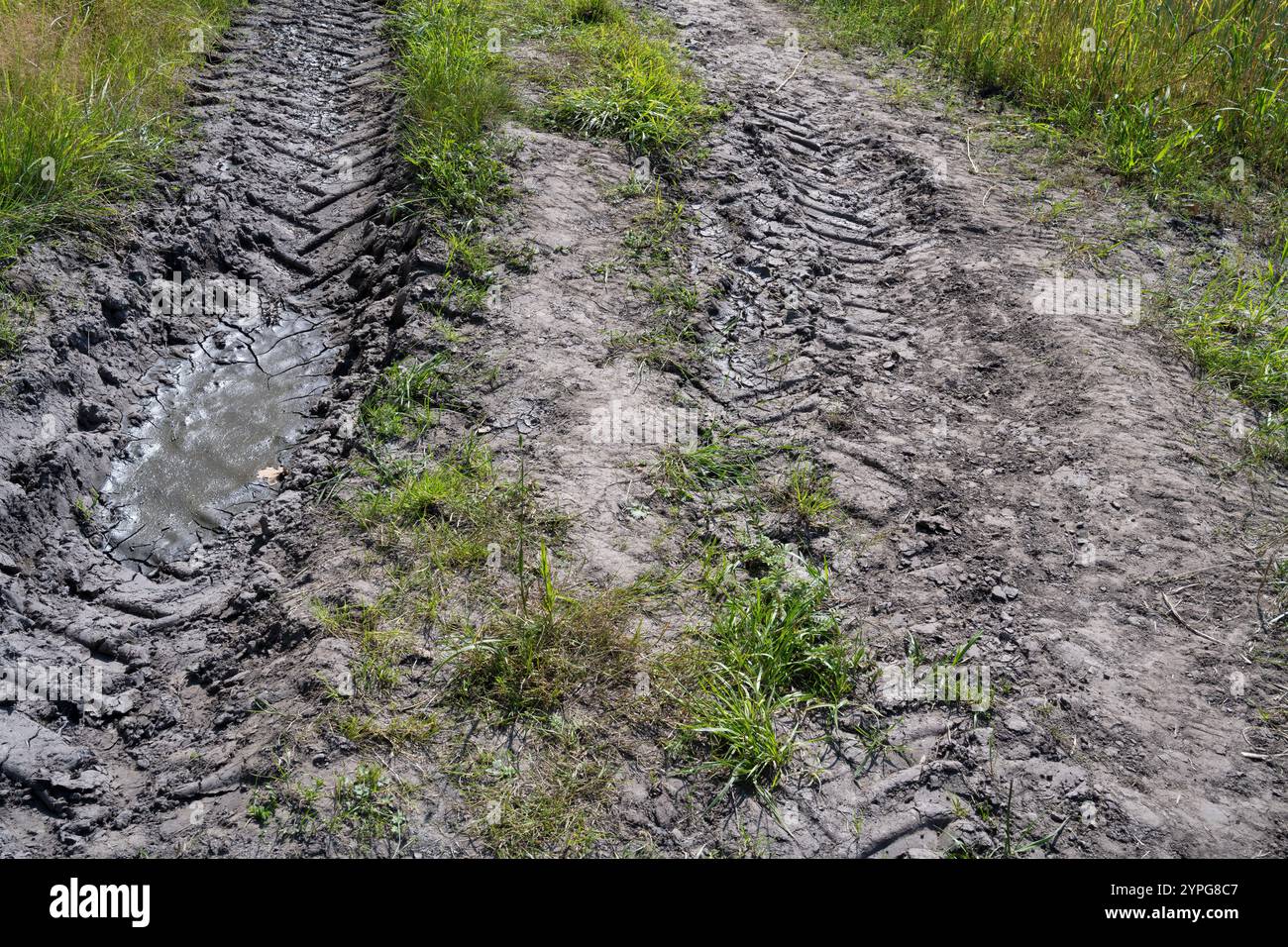 Farmland tractor tracks in hi-res stock photography and images - Alamy