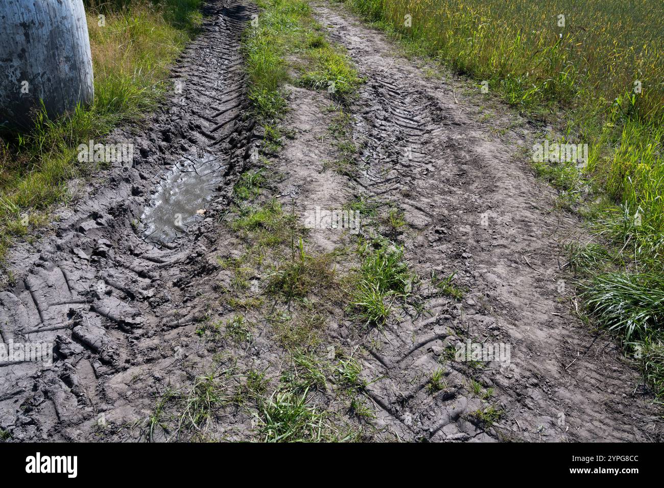 Tractor tracks muddy field hi-res stock photography and images - Alamy
