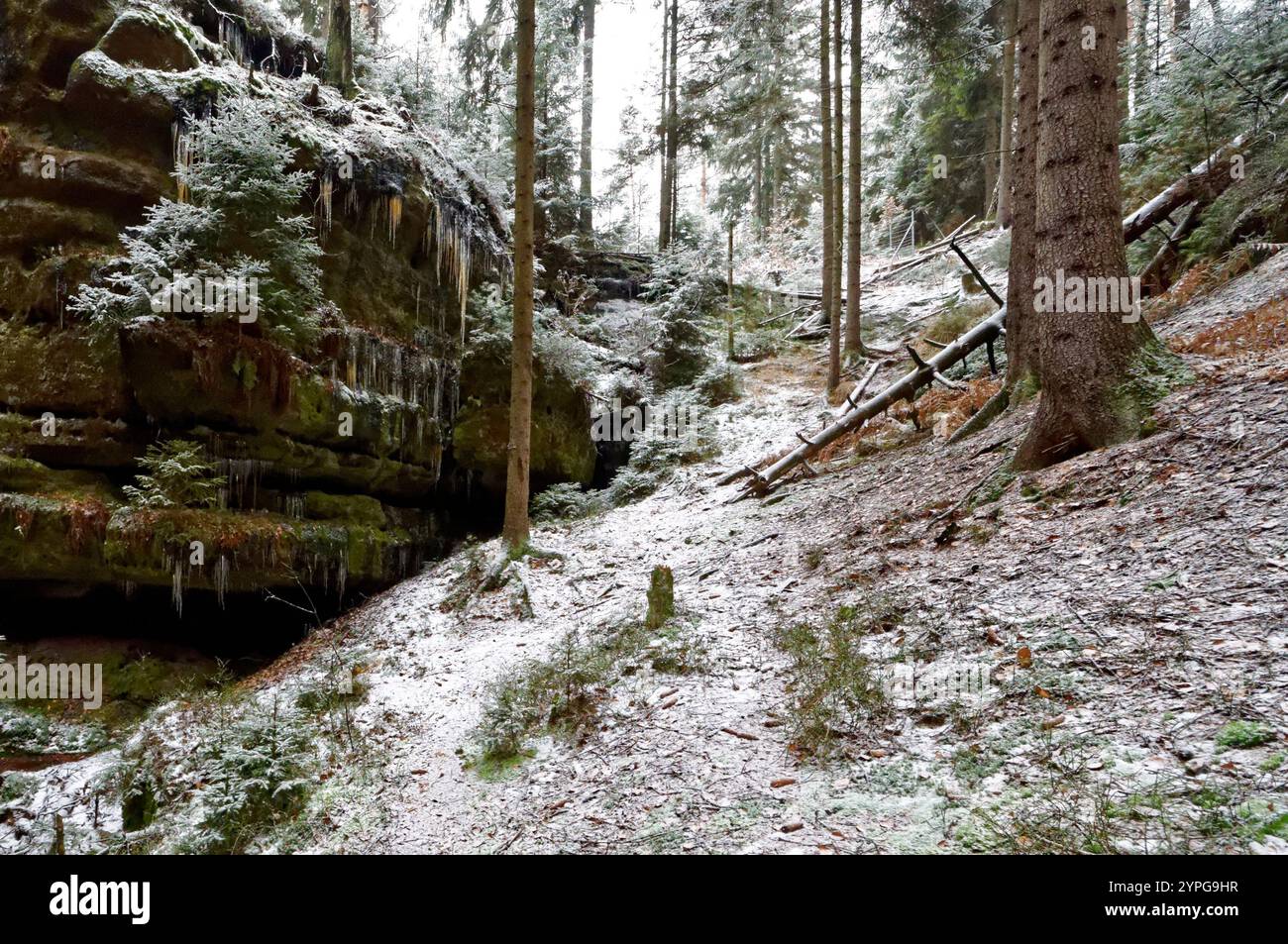 Ticho lesa hi-res stock photography and images - Alamy