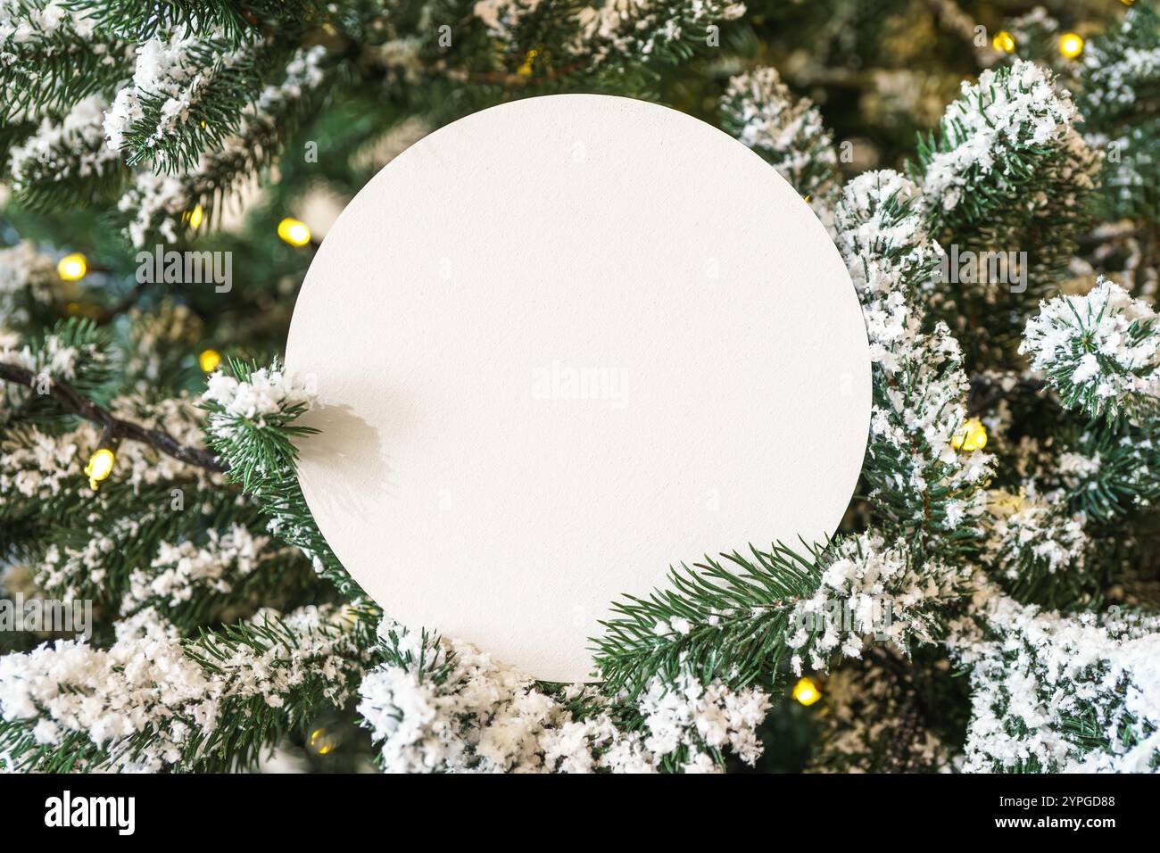 White blank paper circle on snowy, frost Christmas tree branch ...