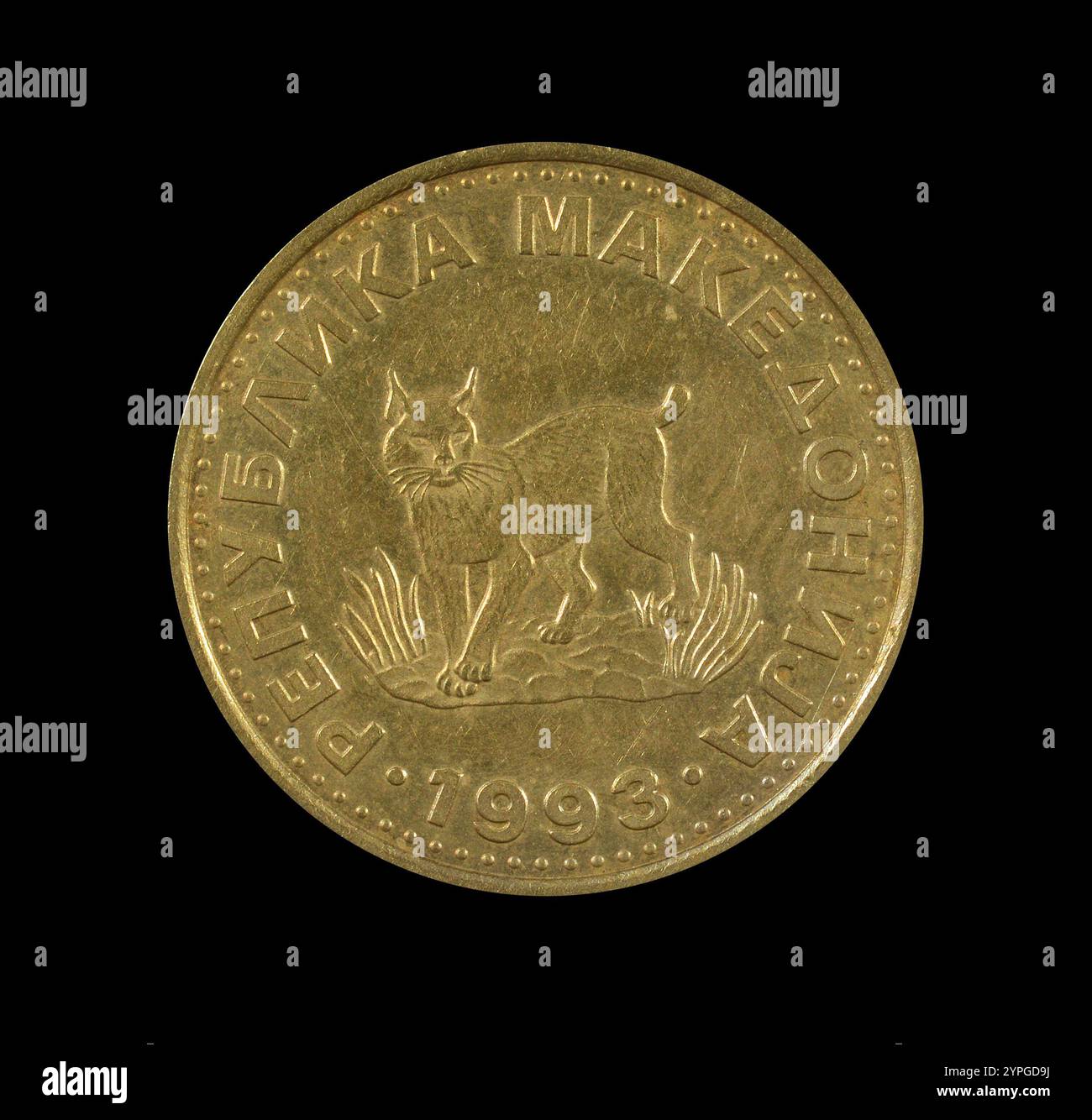 Balkan lynx hi-res stock photography and images - Alamy