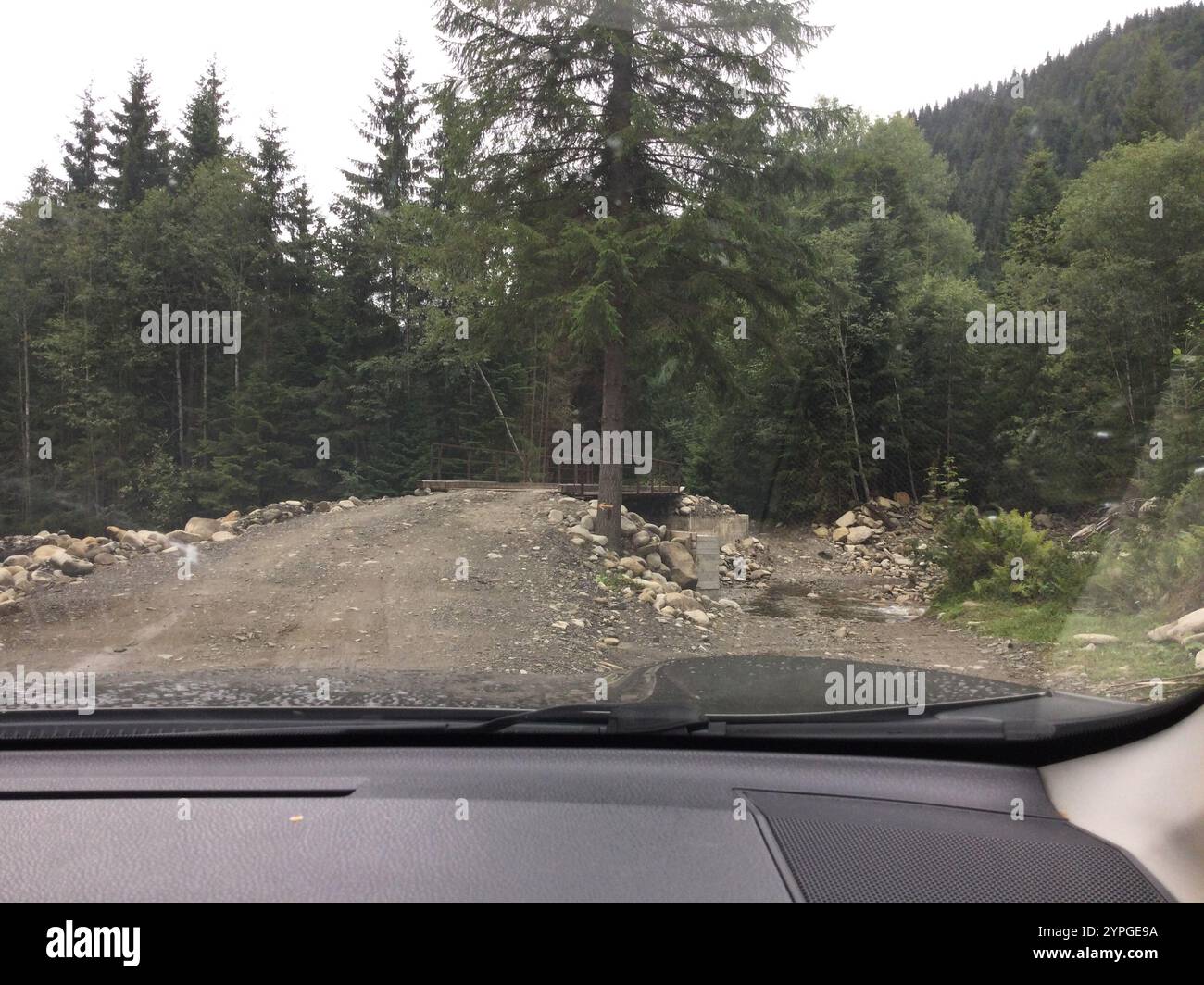 A winding dirt road through a lush forest leads to an unseen ...