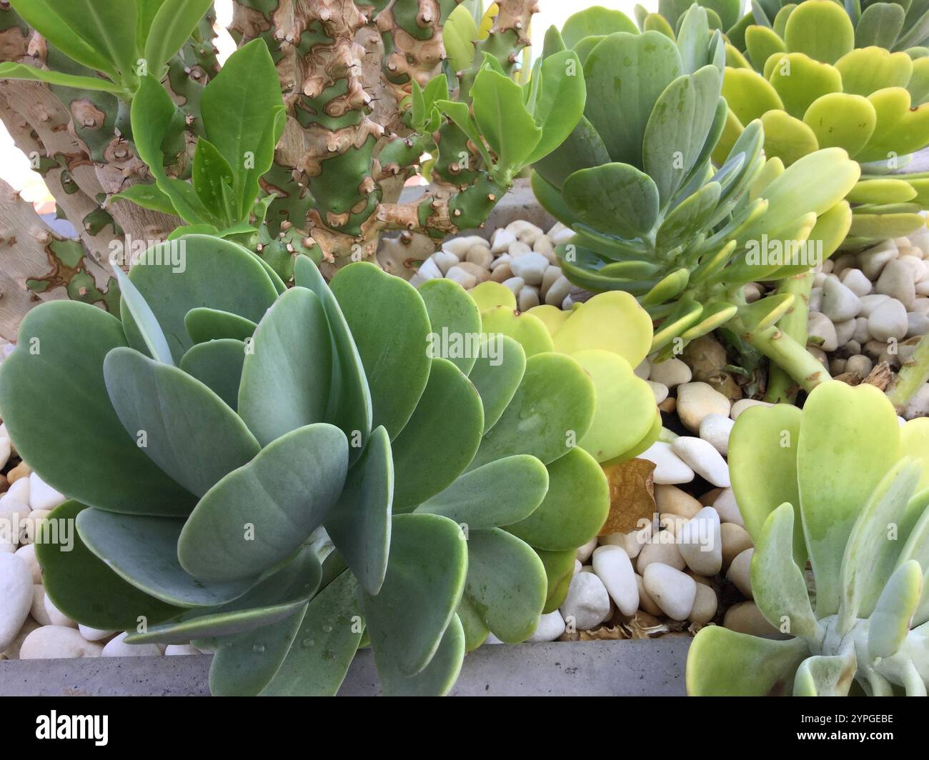 Setting features various tools hi-res stock photography and images - Alamy