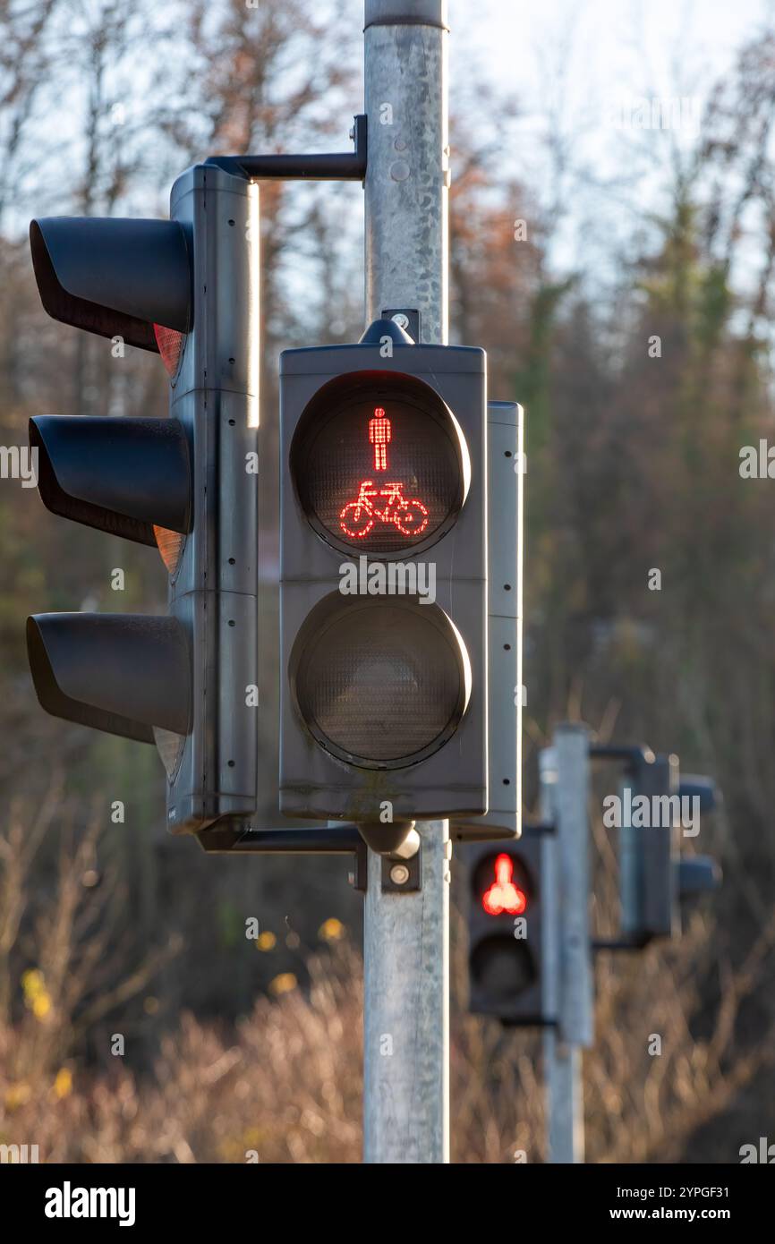 Red Traffic Light for Pedestrians and Cyclists at Urban Crosswalk Stock ...