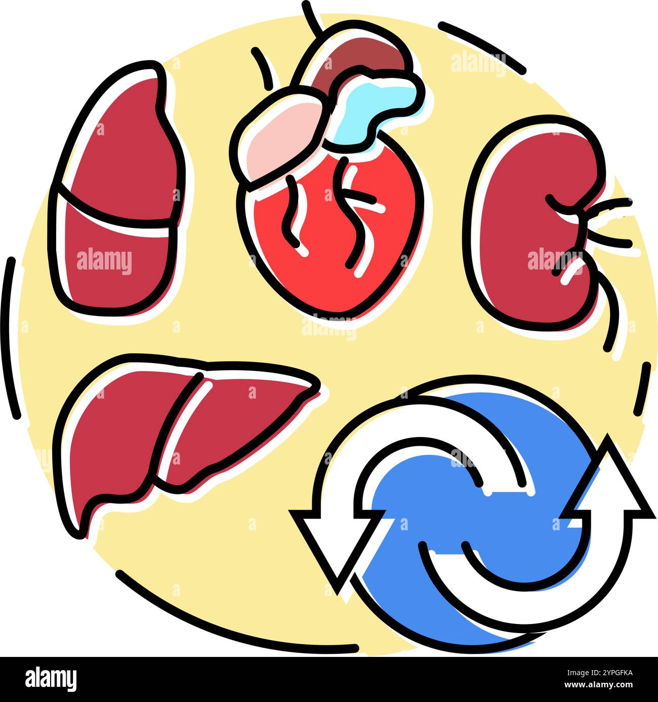 Organ transplant surgeon Stock Vector Images - Alamy