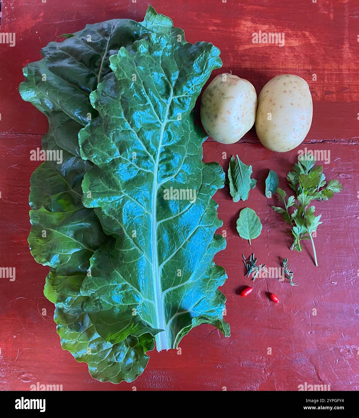 Chard, fine herbs, red hot chilli peppers and potatoes ready to cook in ...