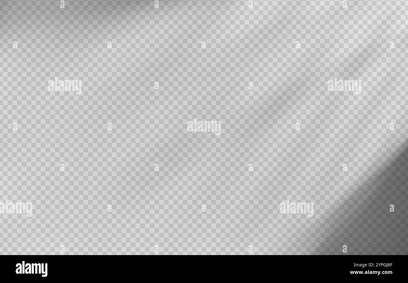 Abstract shadow overlay from foliage on a transparent background. Gobo ...