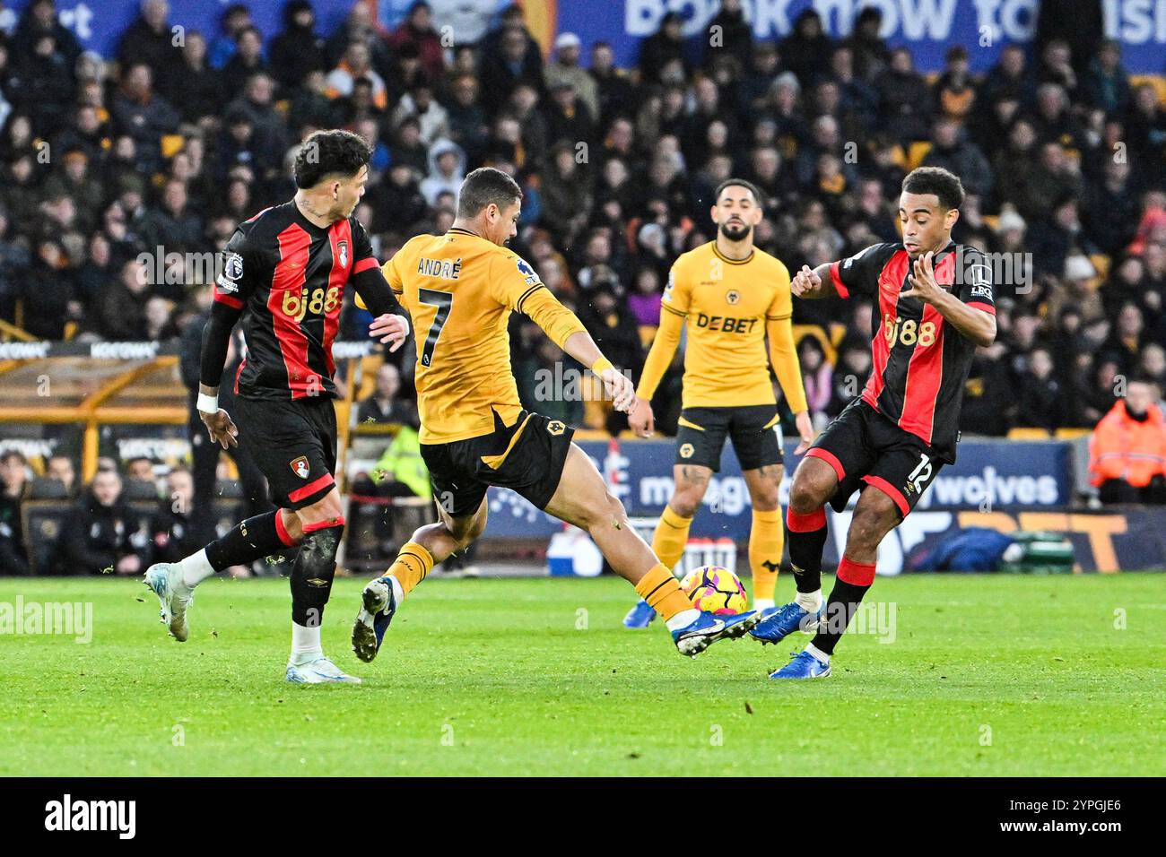 30th November 2024; Molineux Stadium, Wolverhampton, West Midlands ...