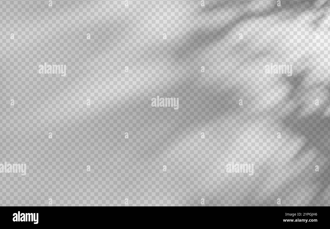 Shadow sun rays from tree Stock Vector Images - Alamy