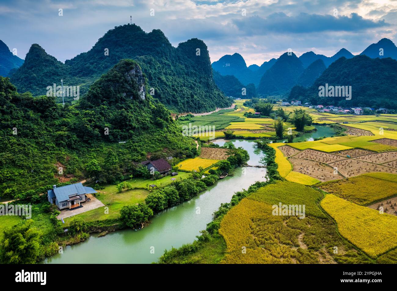 Aerial view of Phong Nam Valley with rice field and winding river flows ...