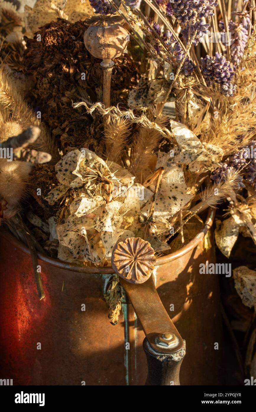 Natural close up found still life of dried grasses and seed-heads in ...