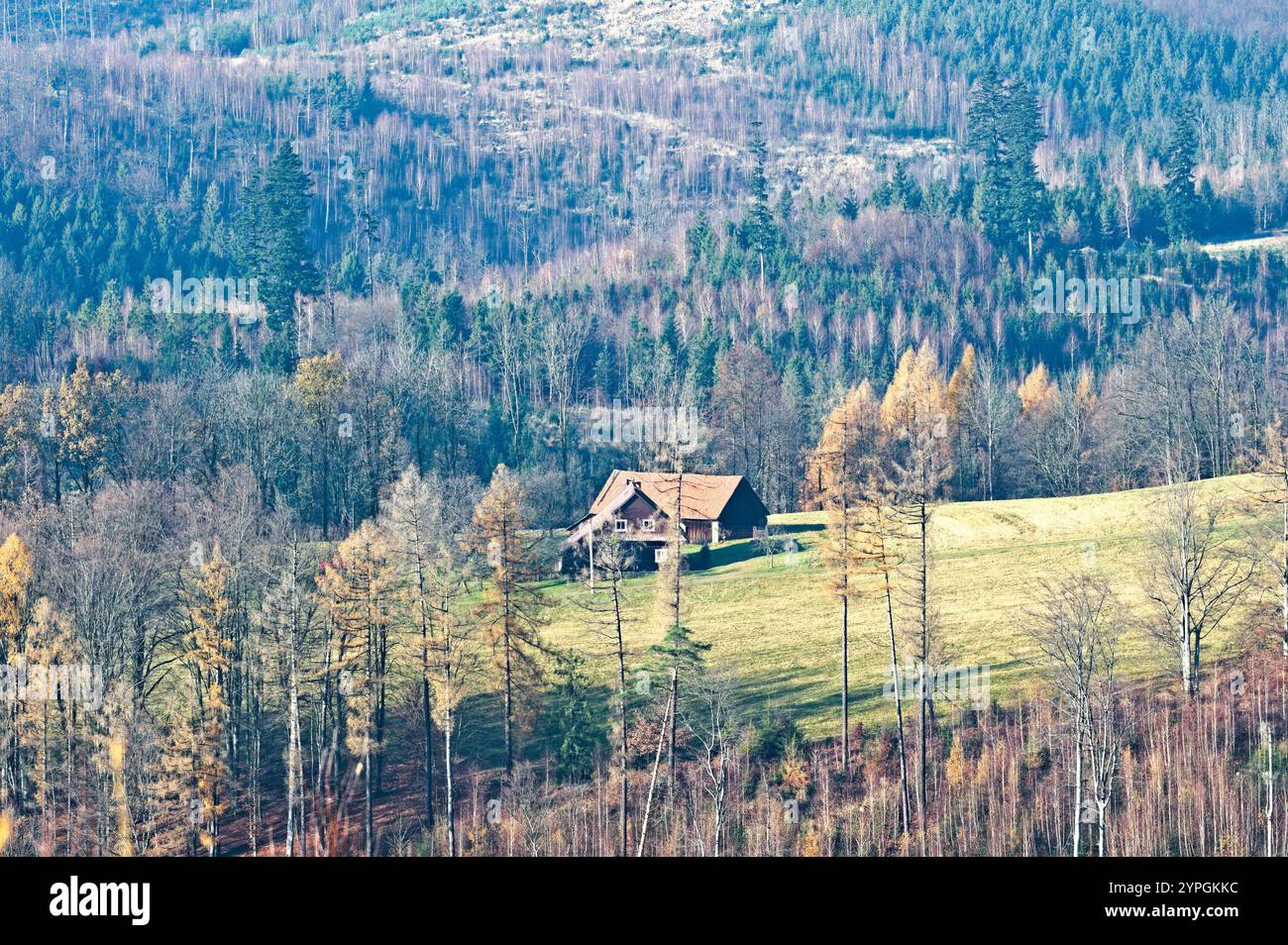 Remote cottage in the nature. Living in nature and seclusion concept ...