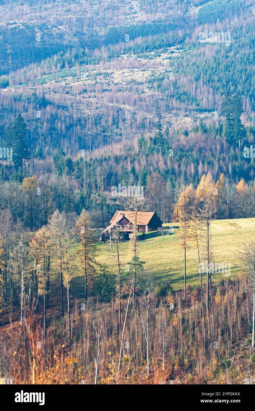 Remote cottage in the nature. Living in nature and seclusion concept ...