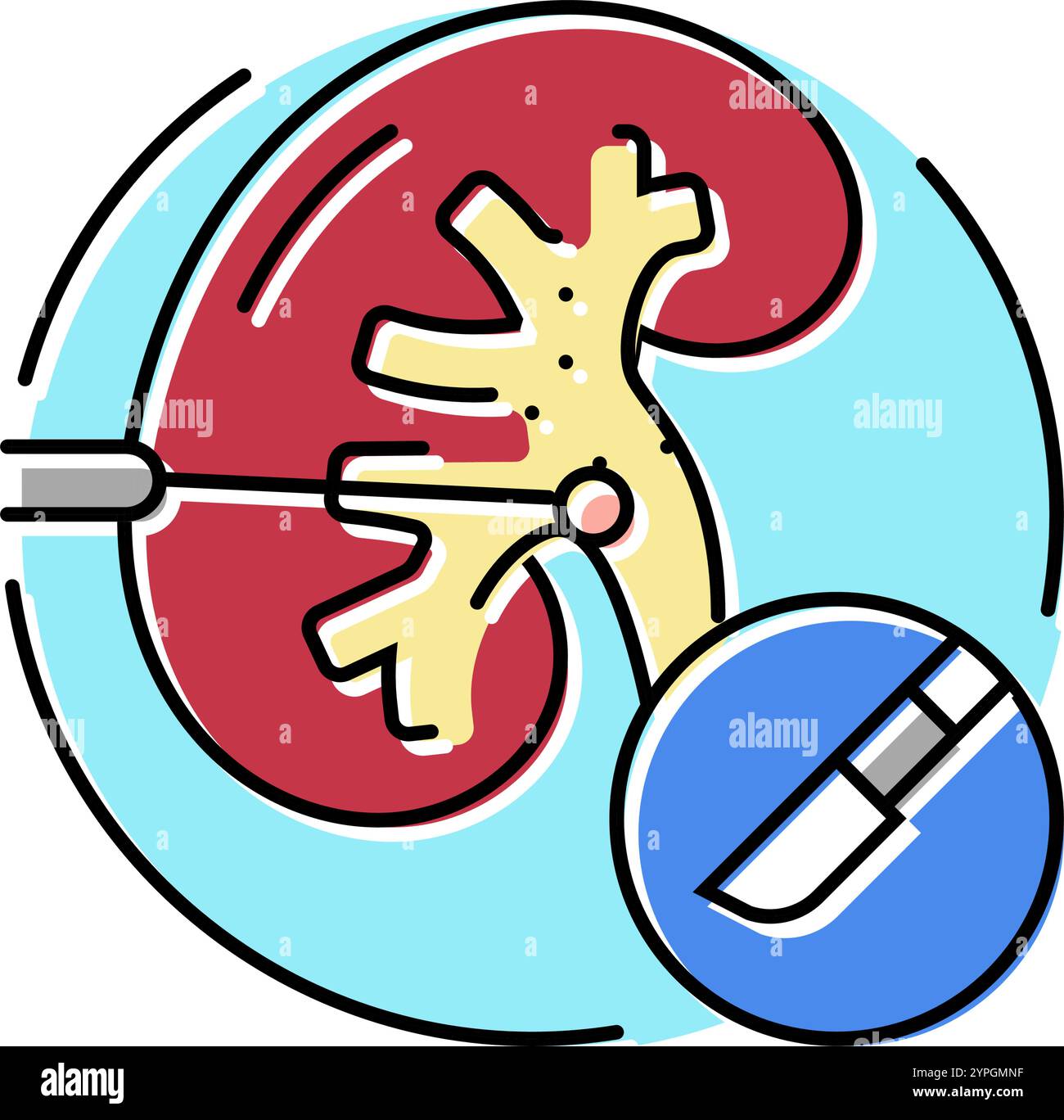 Kidney icons pack hi-res stock photography and images - Alamy