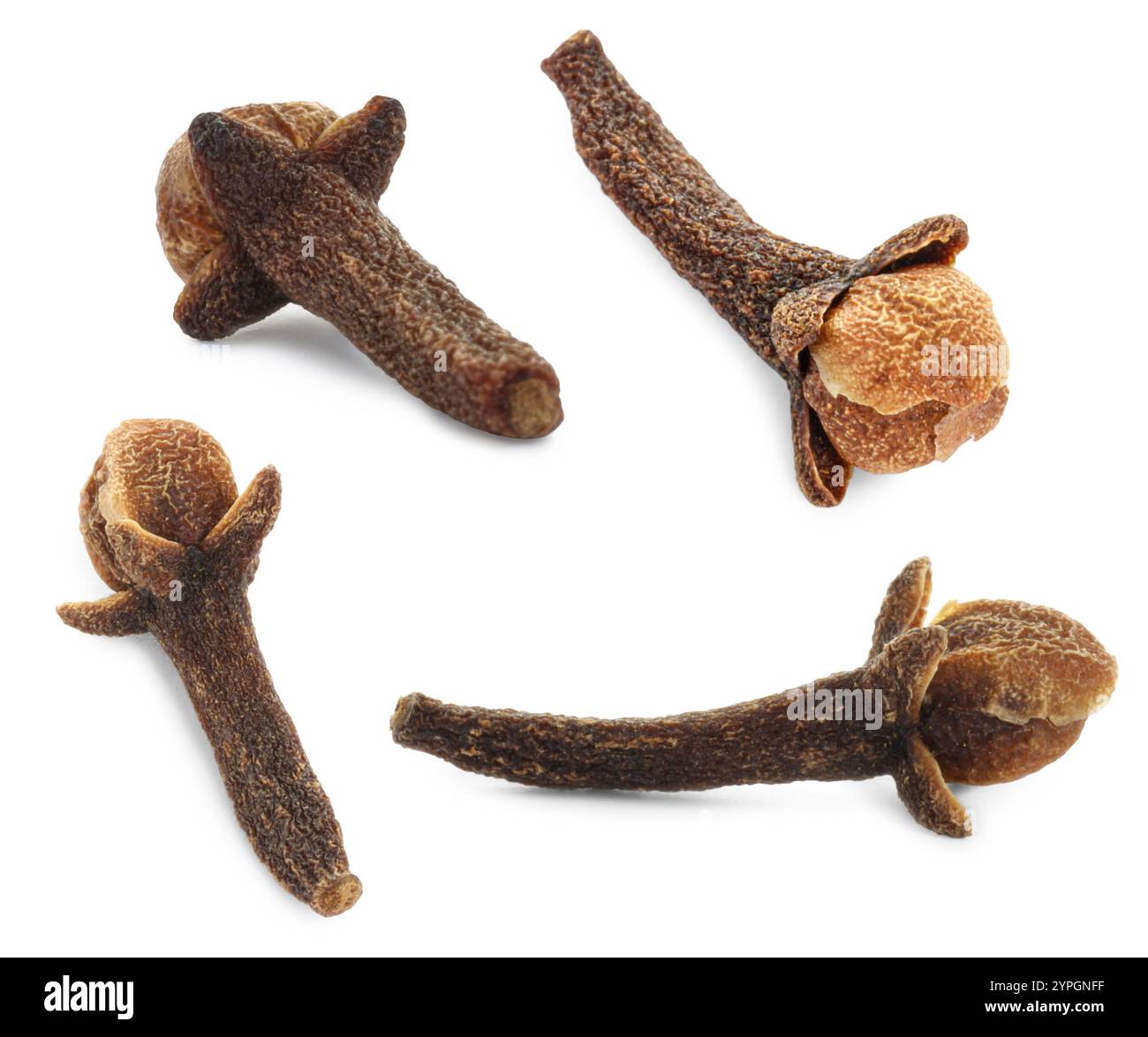 Fragrant clove buds isolated on white, set Stock Photo - Alamy