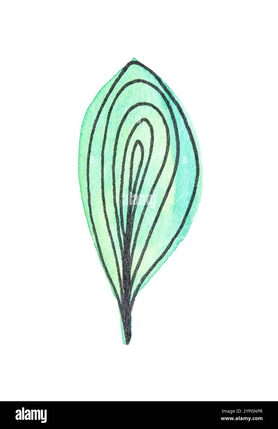 Whimsical hand-drawn leaf with green and black patterns on white ...