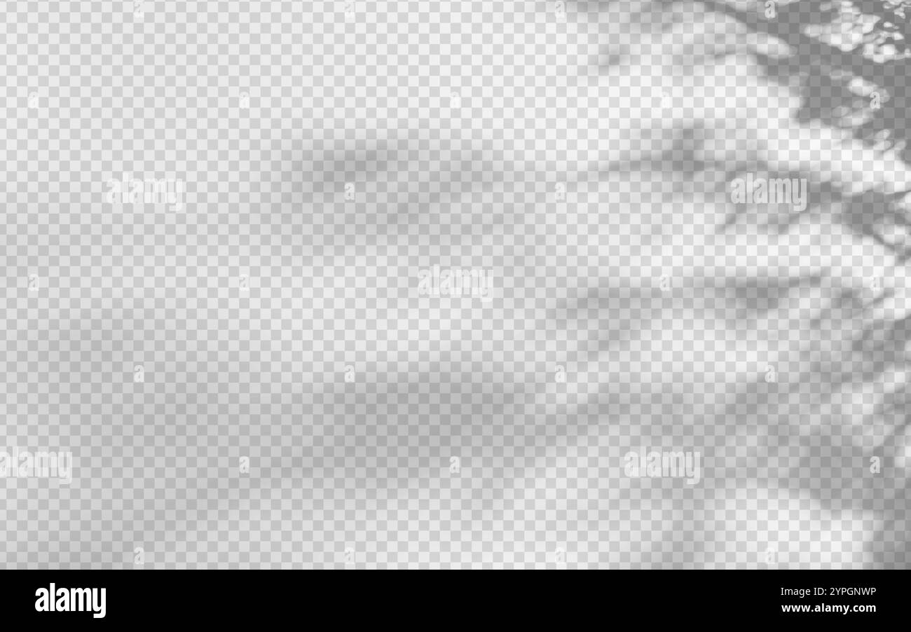 Abstract shadow overlay from foliage on a transparent background. Gobo ...
