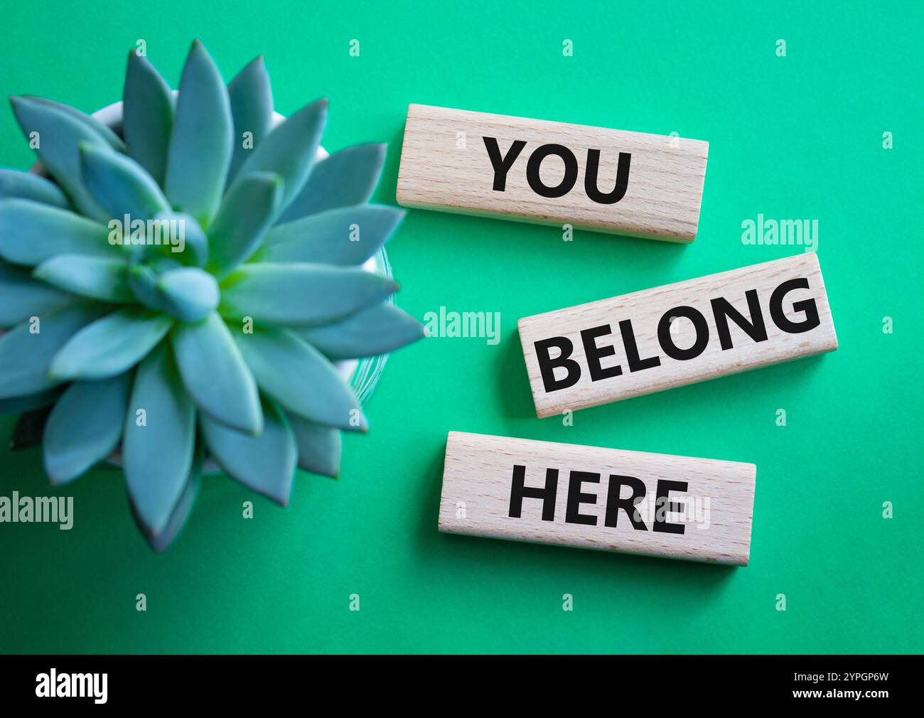 You belong here symbol. Wooden blocks with words You belong here ...