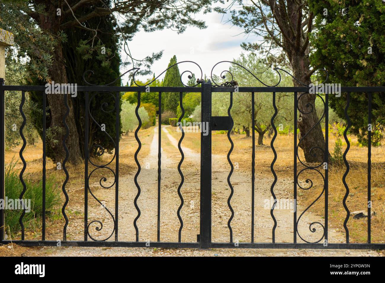Wrought iron gate opening to rustic tree-lined pathway in countryside ...