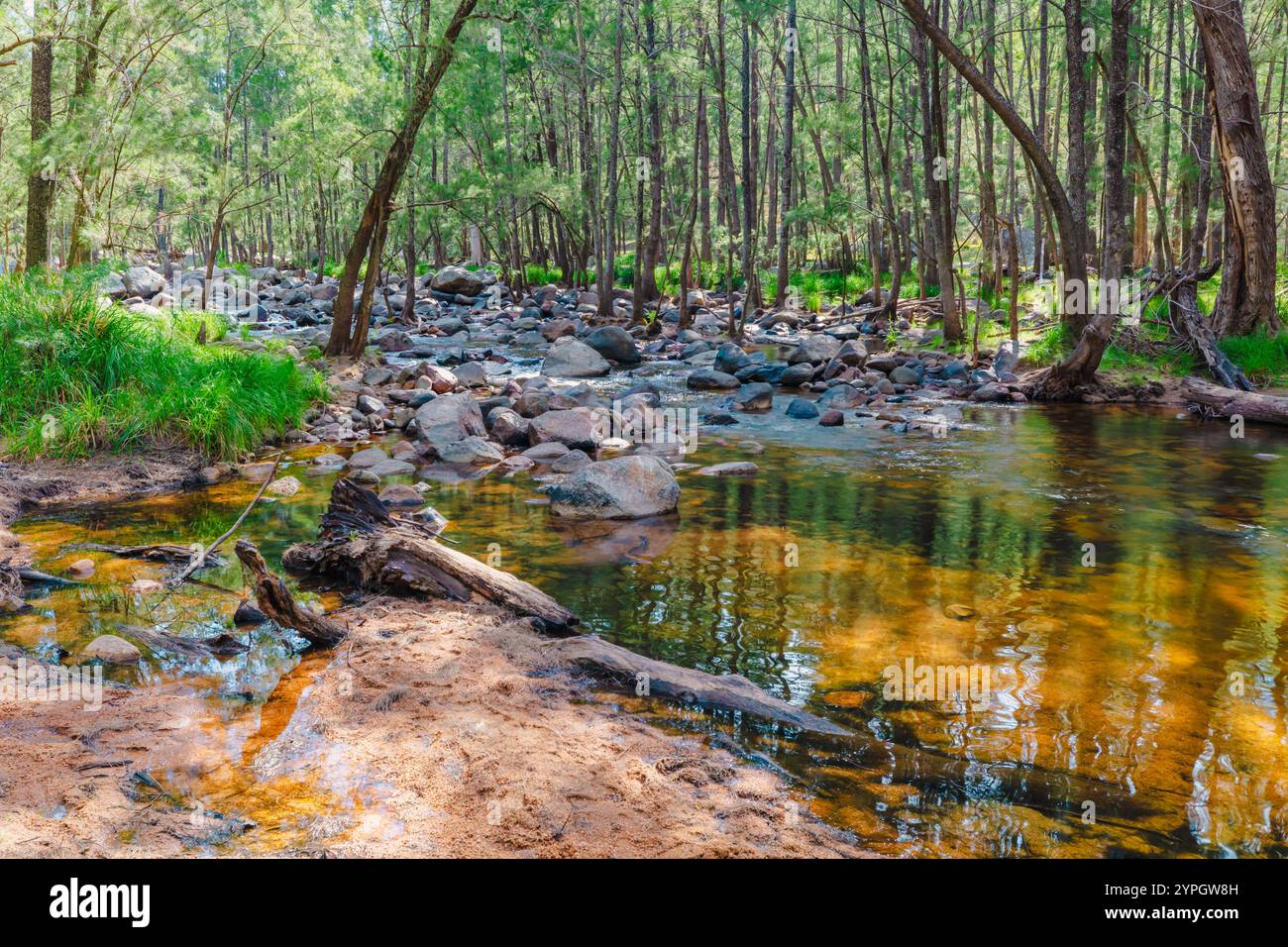 Photograph of the Coxs River in Ganbenang near the six foot track ...