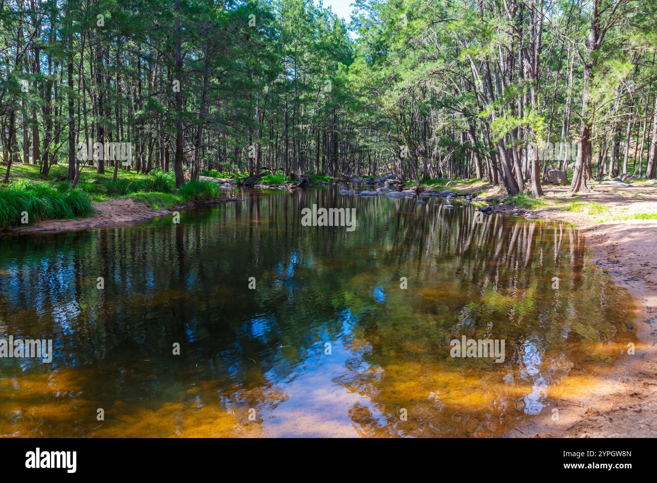 Photograph of the Coxs River in Ganbenang near the six foot track ...