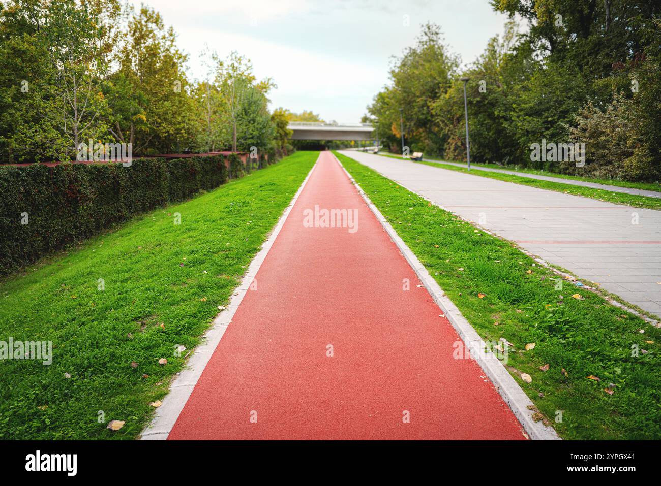 Rubber red colored city jogging path. Recreational running lane. Sports ...