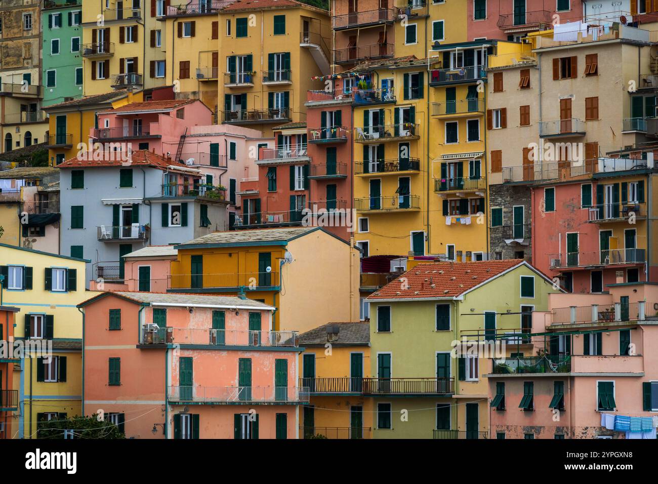 Vibrant facades of Cinque Terre houses stacked against hillside. Famous ...