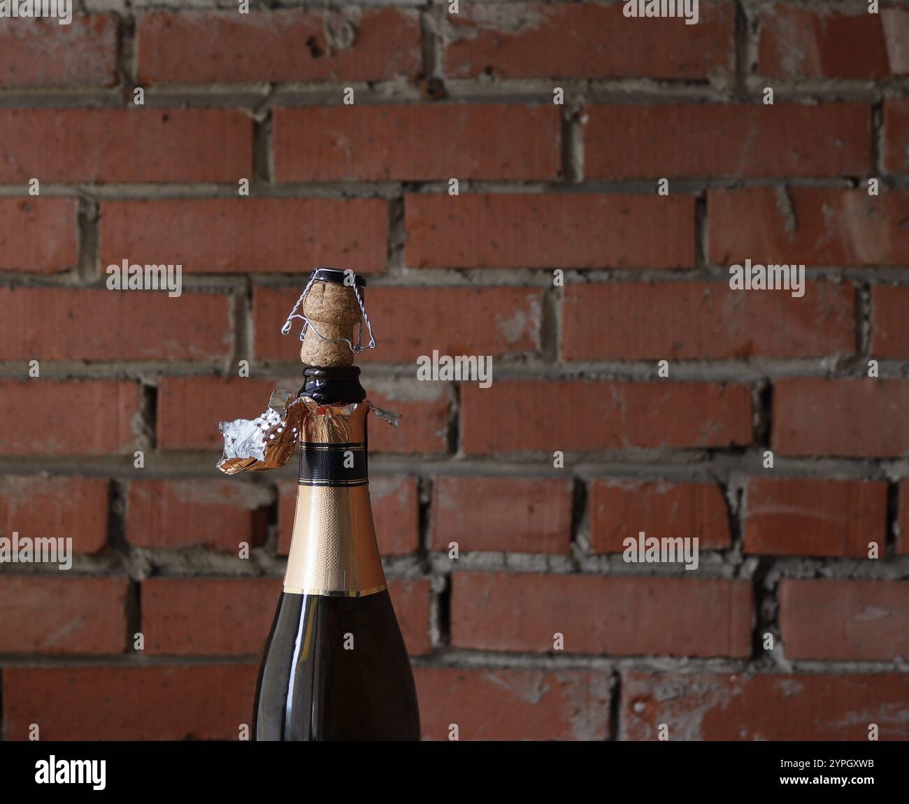 An opened bottle of sparkling wine with a cork and a muzzle on the neck ...