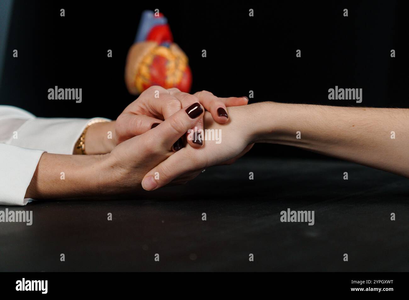 Understanding heart anatomy hi-res stock photography and images - Alamy