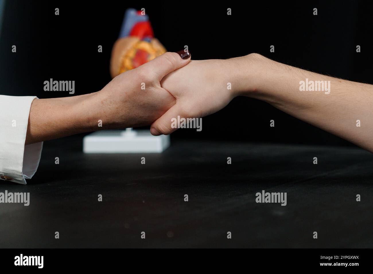 Understanding anatomical hi-res stock photography and images - Alamy