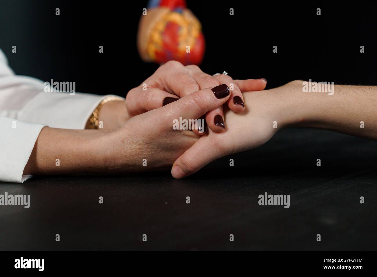 Compassionate Connection in Medical Context with Heart Anatomy Stock ...