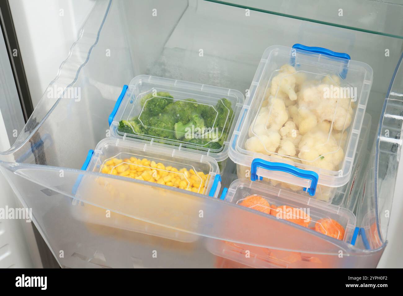 Plastic containers with different frozen vegetables in refrigerator ...