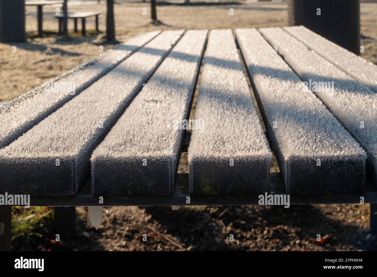frozen park bench Stock Photo - Alamy