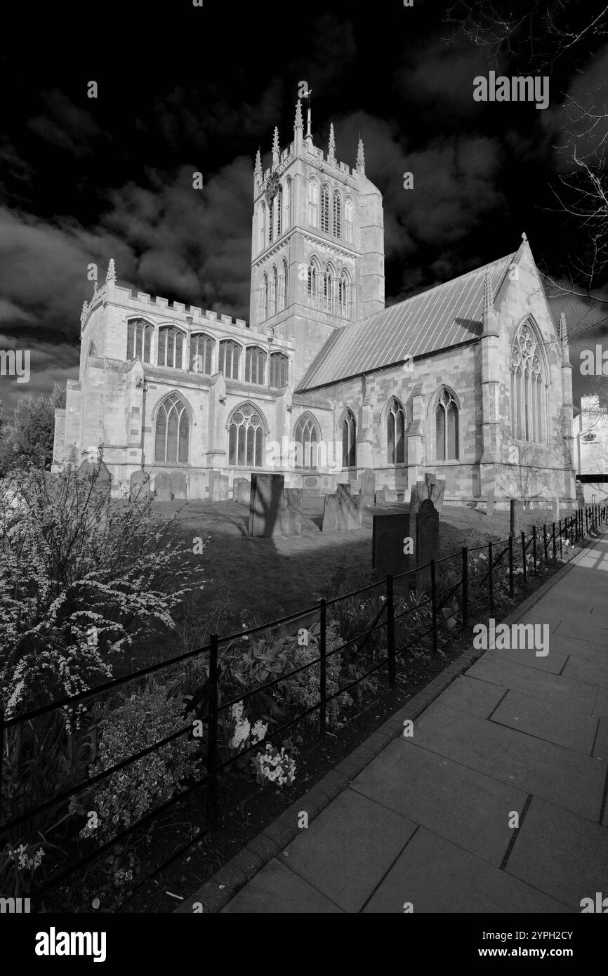 St Marys church, market town of Melton Mowbray, Leicestershire, England ...